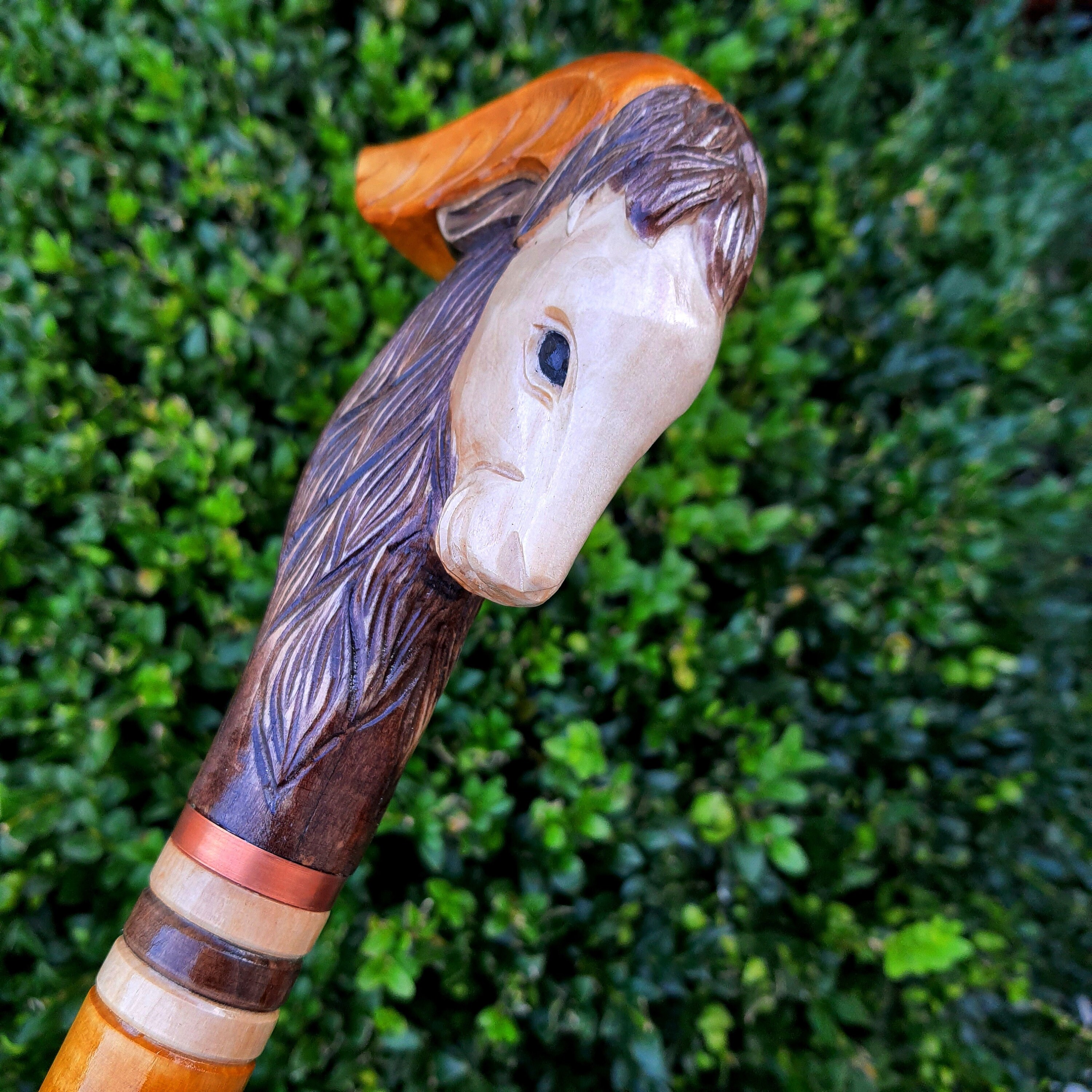 Cane Walking Stick Canes Sticks Reed Staff Wood Wooden | Etsy