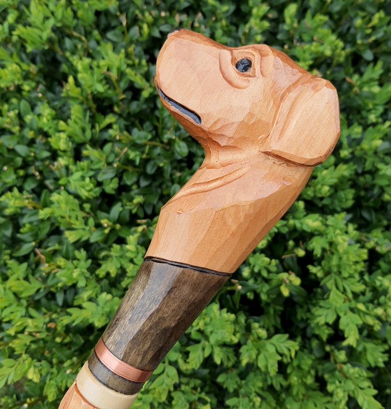 Walking Stick Canes Reed Wood Wooden Hand-carved Carving Handmade Cane ...