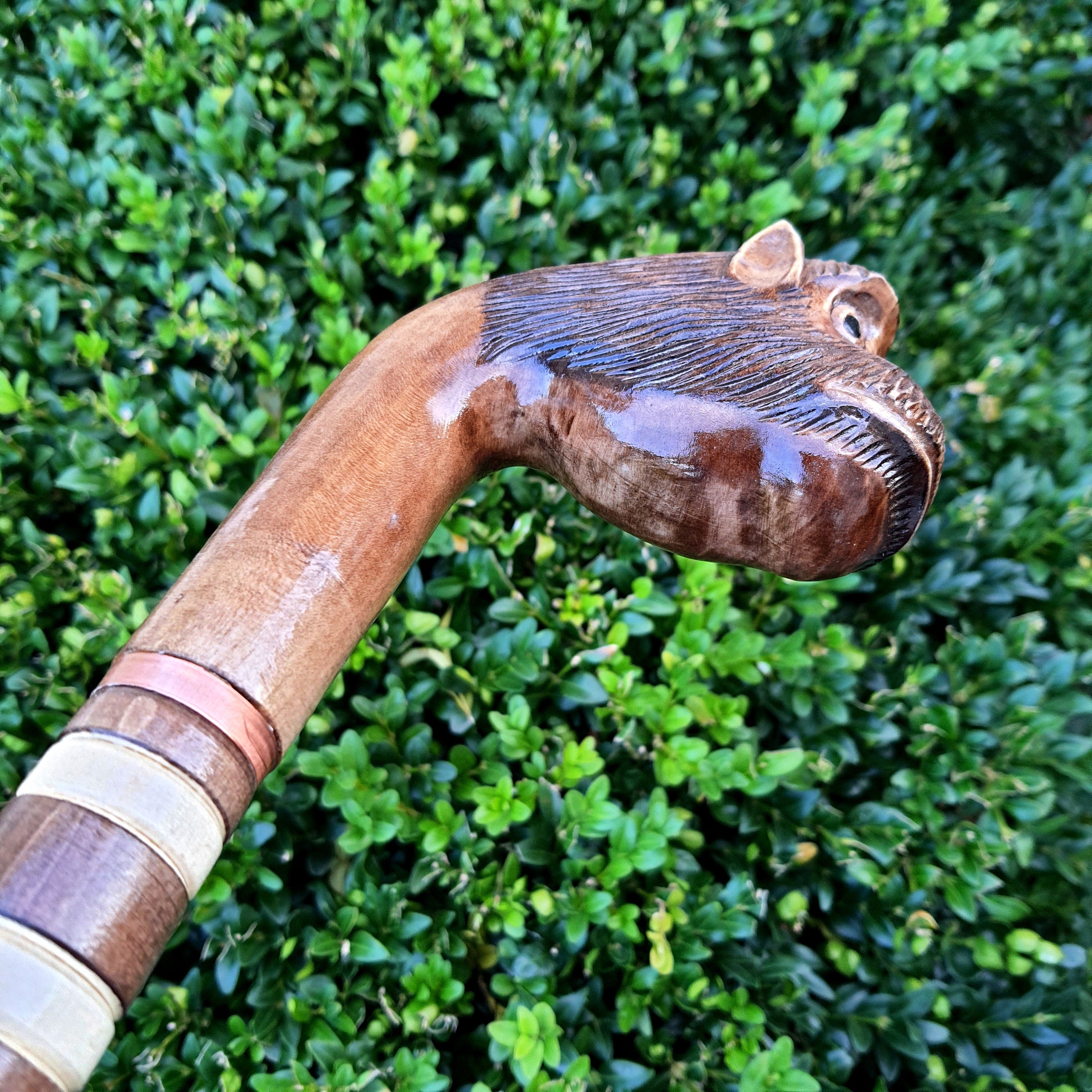 Cane Walking Stick Canes Sticks Reed Staff Wood Wooden | Etsy