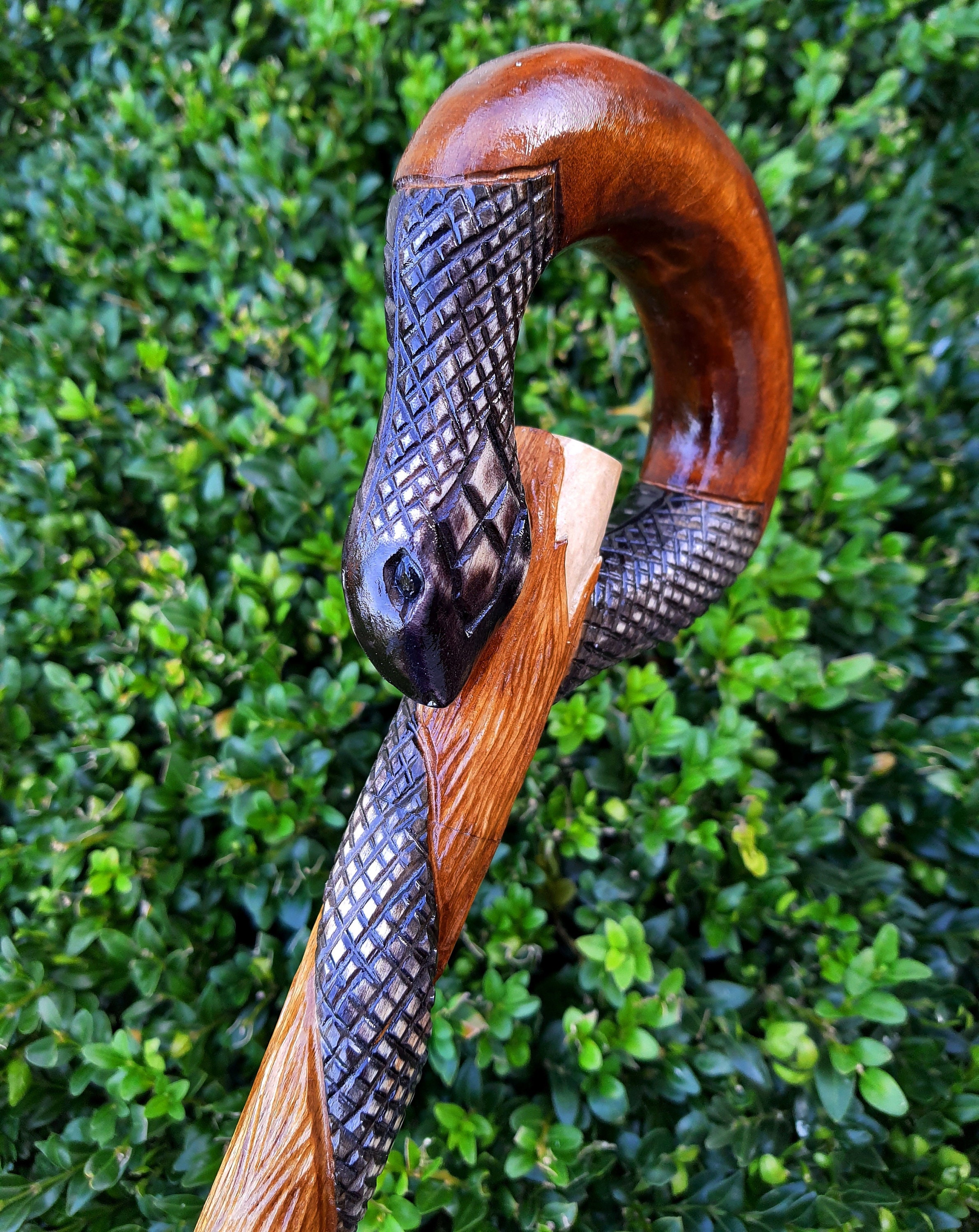 Cane Walking Stick Canes Sticks Reed Staff Wood Wooden | Etsy