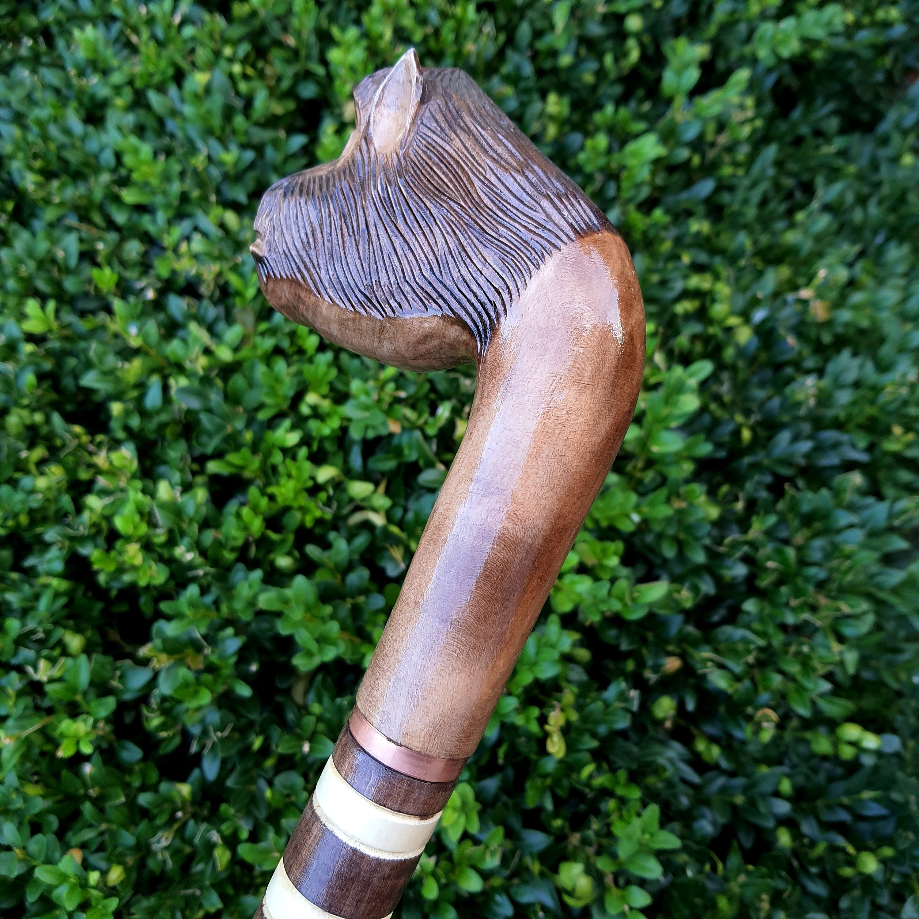 Cane Walking Stick Canes Sticks Reed Staff Wood Wooden | Etsy
