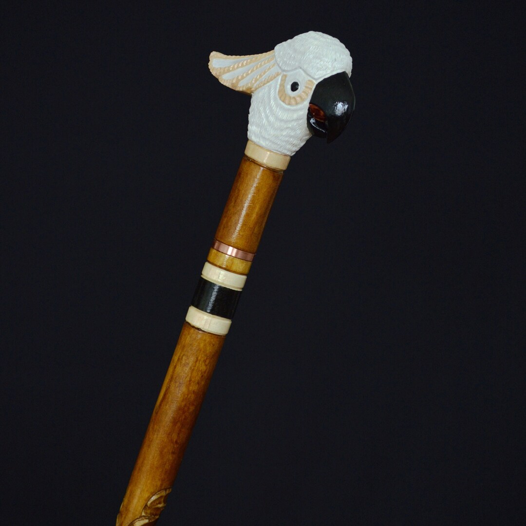 Stick Cane Walking Canes Sticks Reed Staff Wood Wooden Hand-carved ...