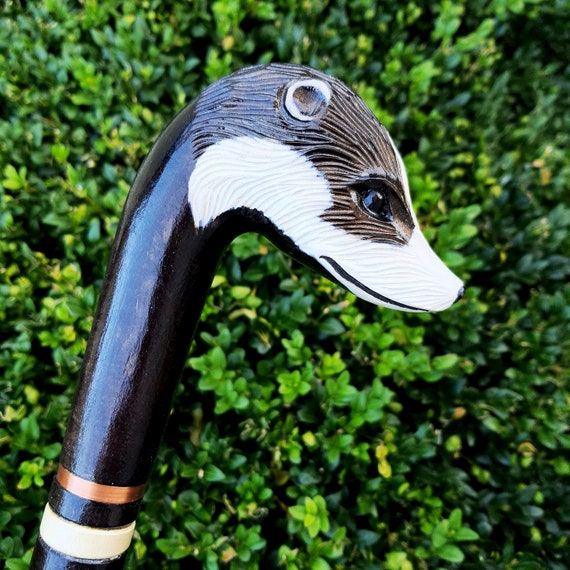 Cane Walking Stick Canes Sticks Reed Staff Wood Wooden | Etsy