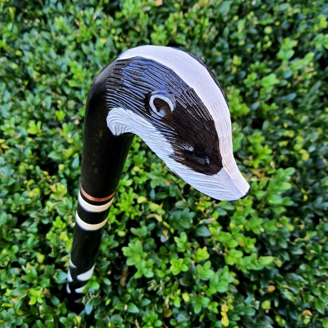 Cane Walking Stick Canes Sticks Reed Staff Wood Wooden Hand-carved ...