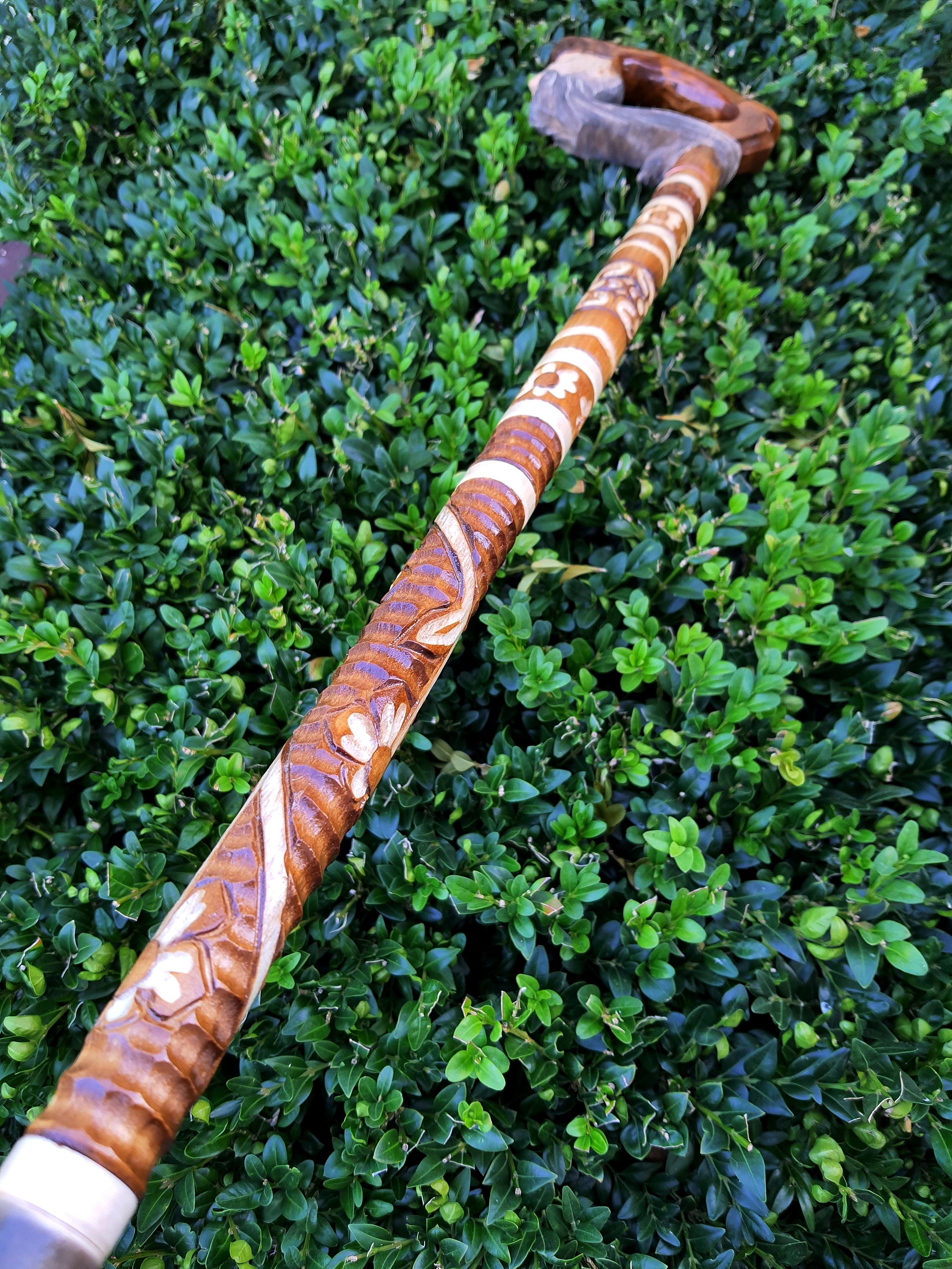 Cane Walking Stick Canes Sticks Reed Staff Wood Wooden | Etsy