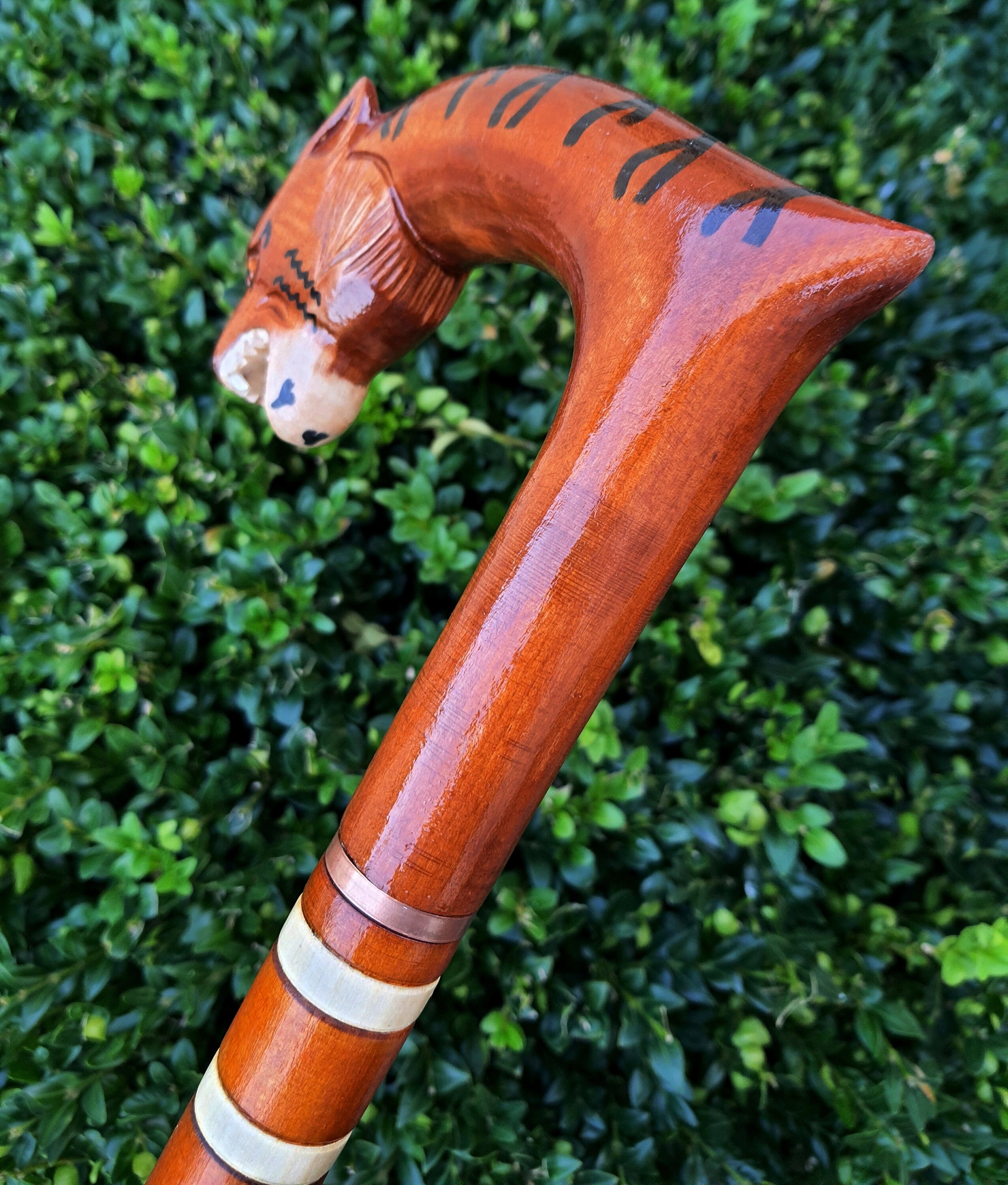 Cane Walking Stick Canes Sticks Reed Staff Wood Wooden | Etsy