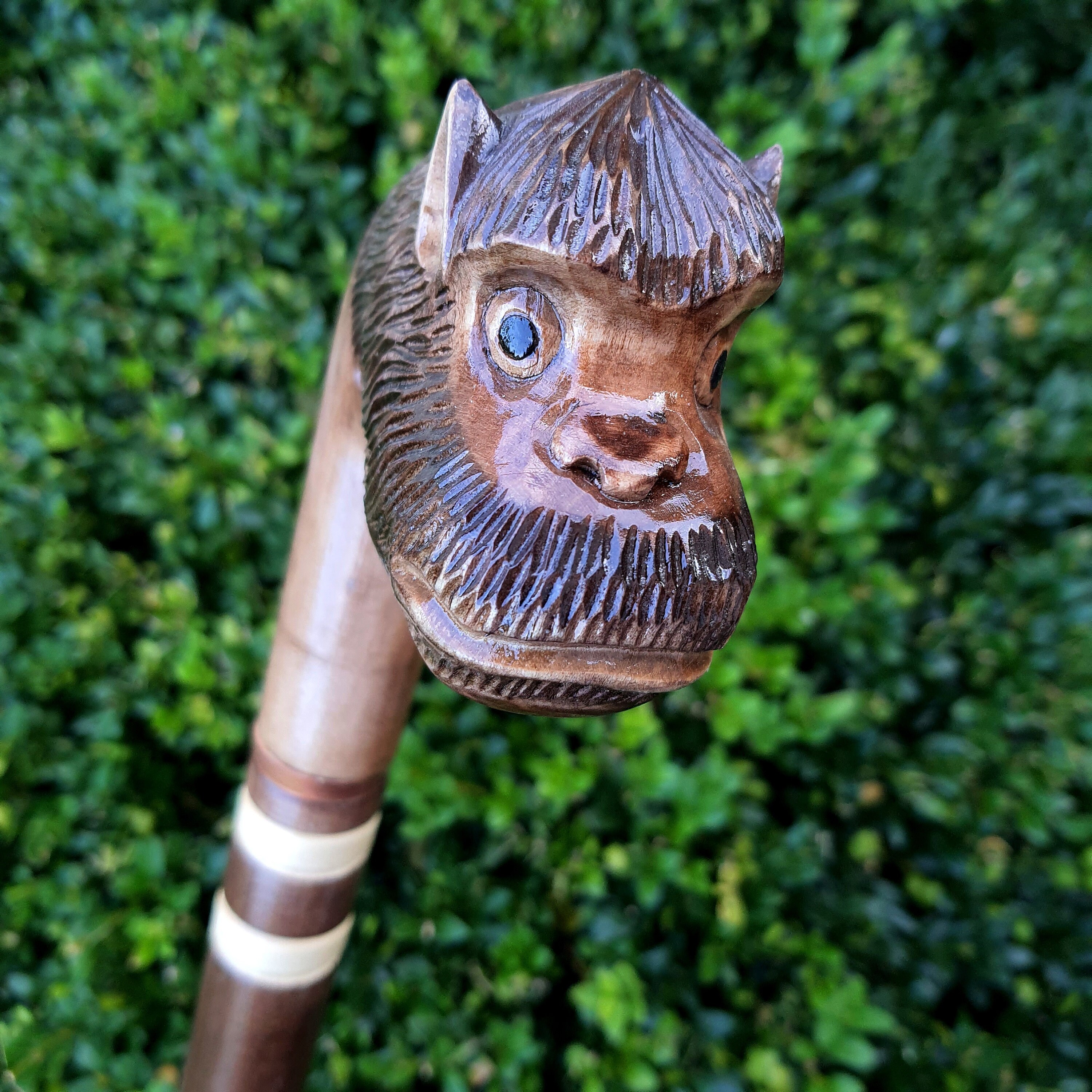 Cane Walking Stick Canes Sticks Reed Staff Wood Wooden | Etsy