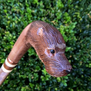 Cane Walking Stick Canes Sticks Reed Staff Wood Wooden Hand-carved ...