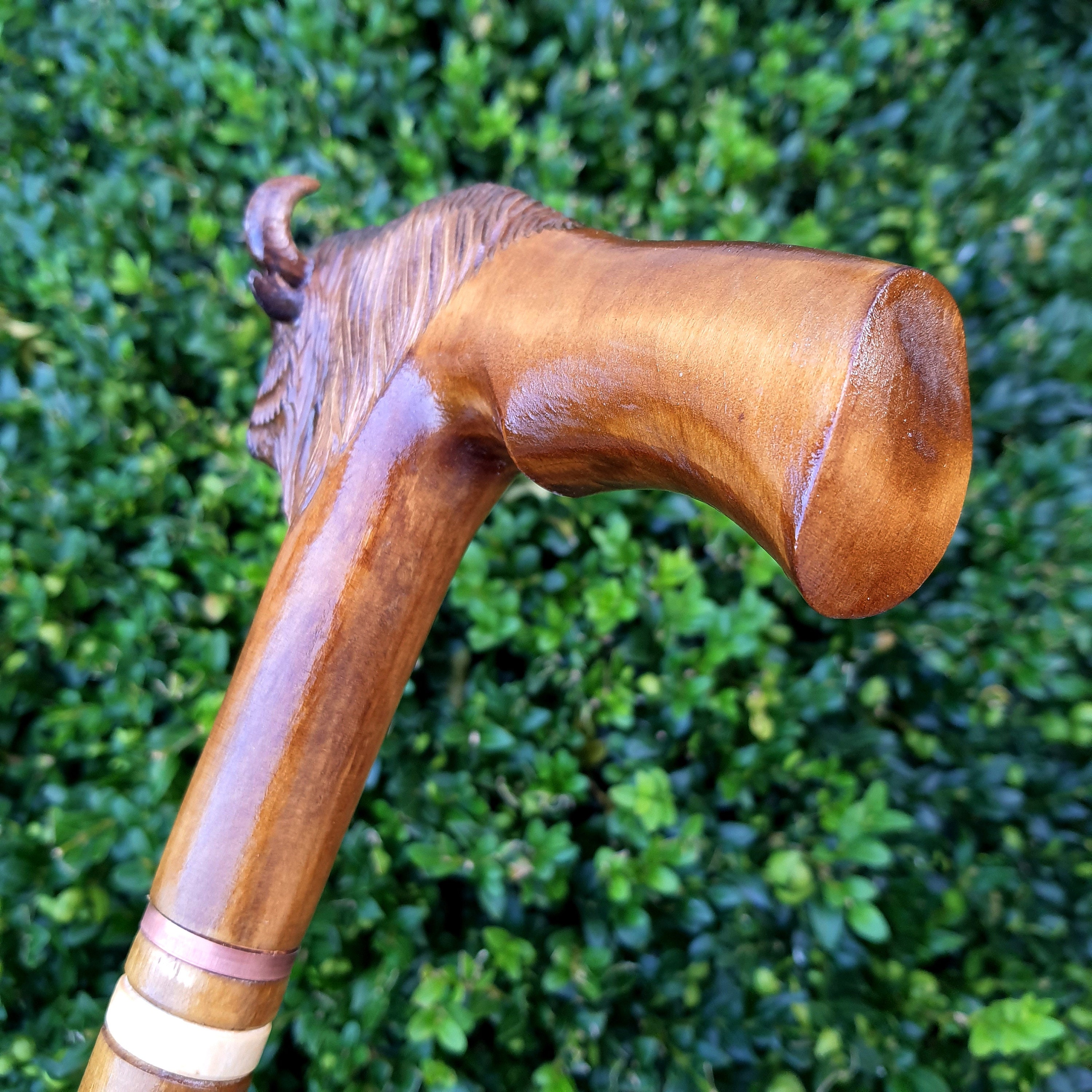 Cane Walking Stick Canes Sticks Reed Staff Wood Wooden Hand-carved ...