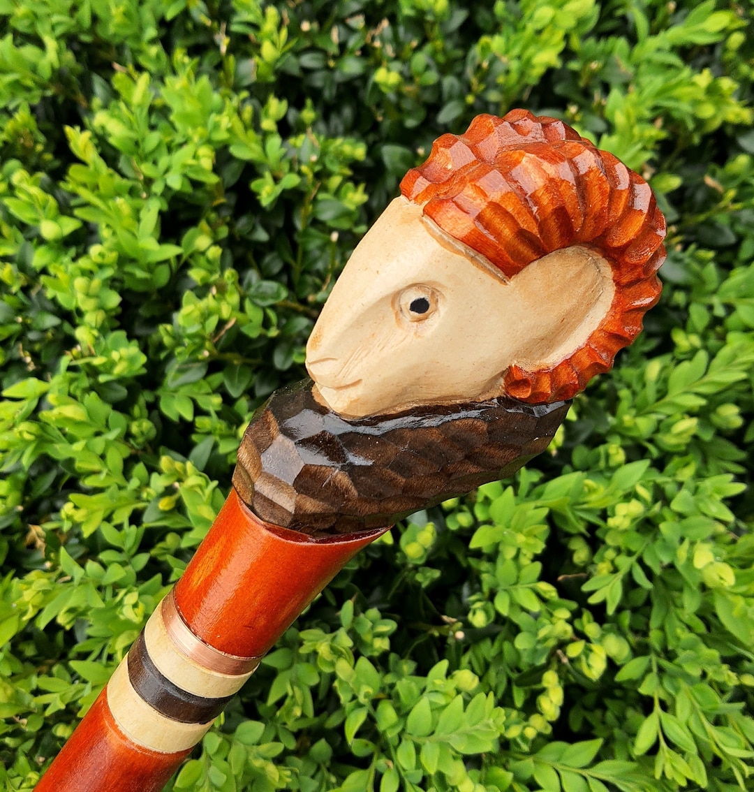 Walking Stick Canes Reed Wood Wooden Hand-carved Carving Handmade Cane ...