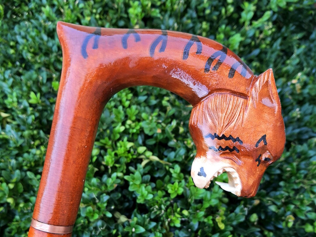 Cane Walking Stick Canes Sticks Reed Staff Wood Wooden Hand-carved ...