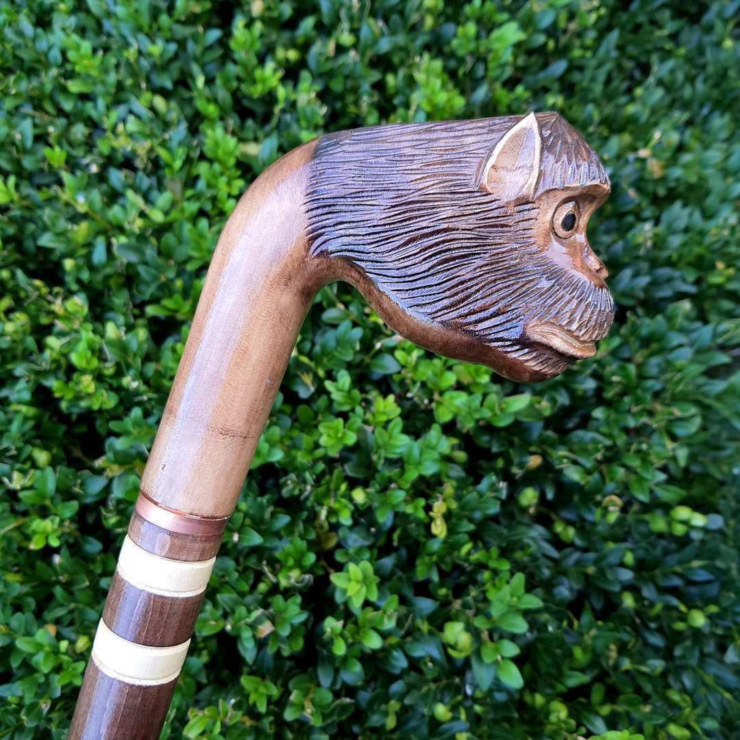 Cane Walking Stick Canes Sticks Reed Staff Wood Wooden Hand-carved ...