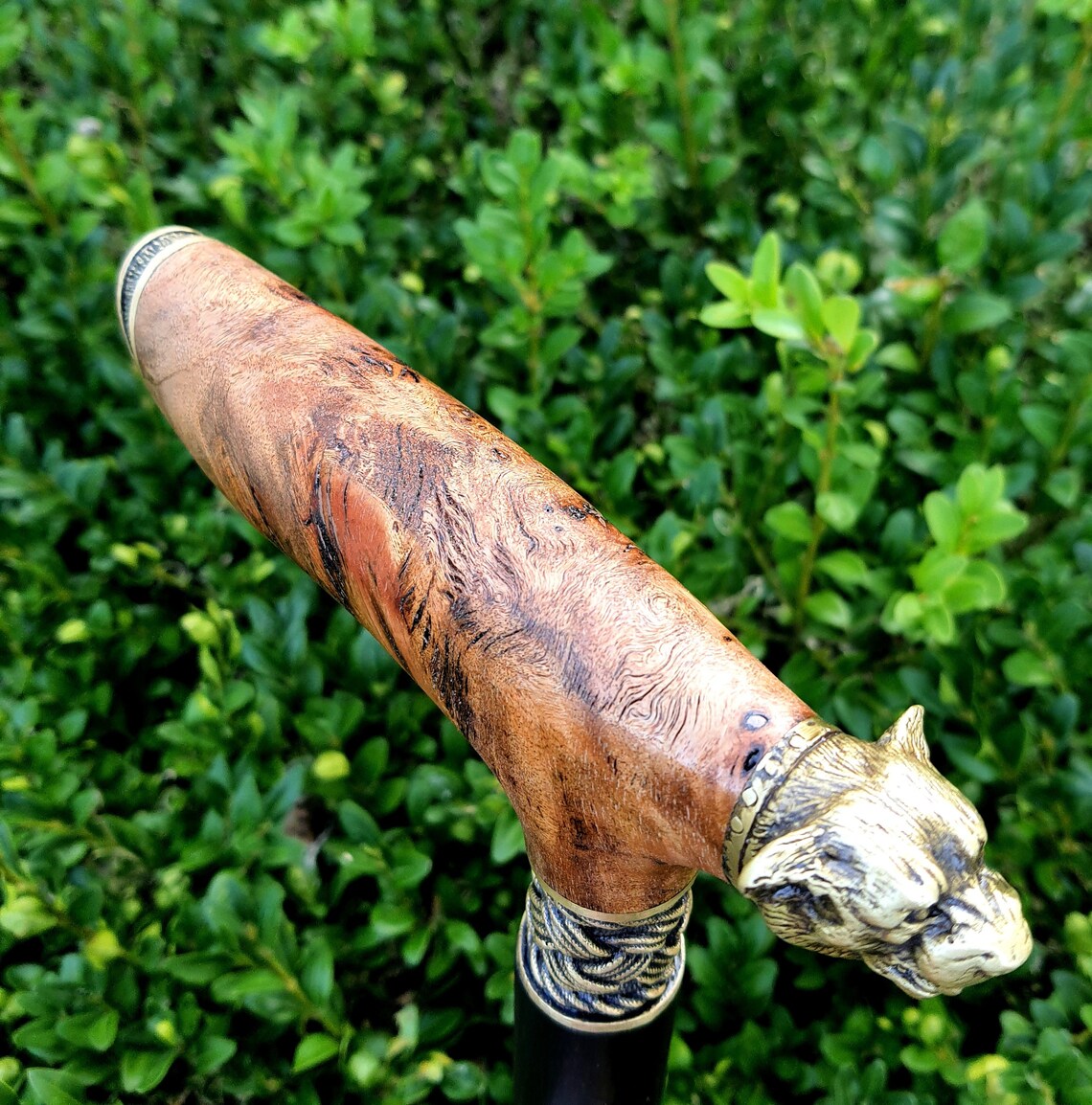 Hawk Walking Cane Walking Stick Handmade Wooden Walking Cane - Etsy