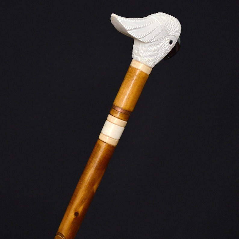 Stick Cane Walking Canes Sticks Reed Staff Wood Wooden Hand-carved ...
