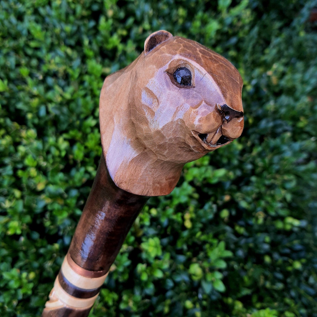 Cane Walking Stick Canes Sticks Reed Staff Wood Wooden Hand-carved ...