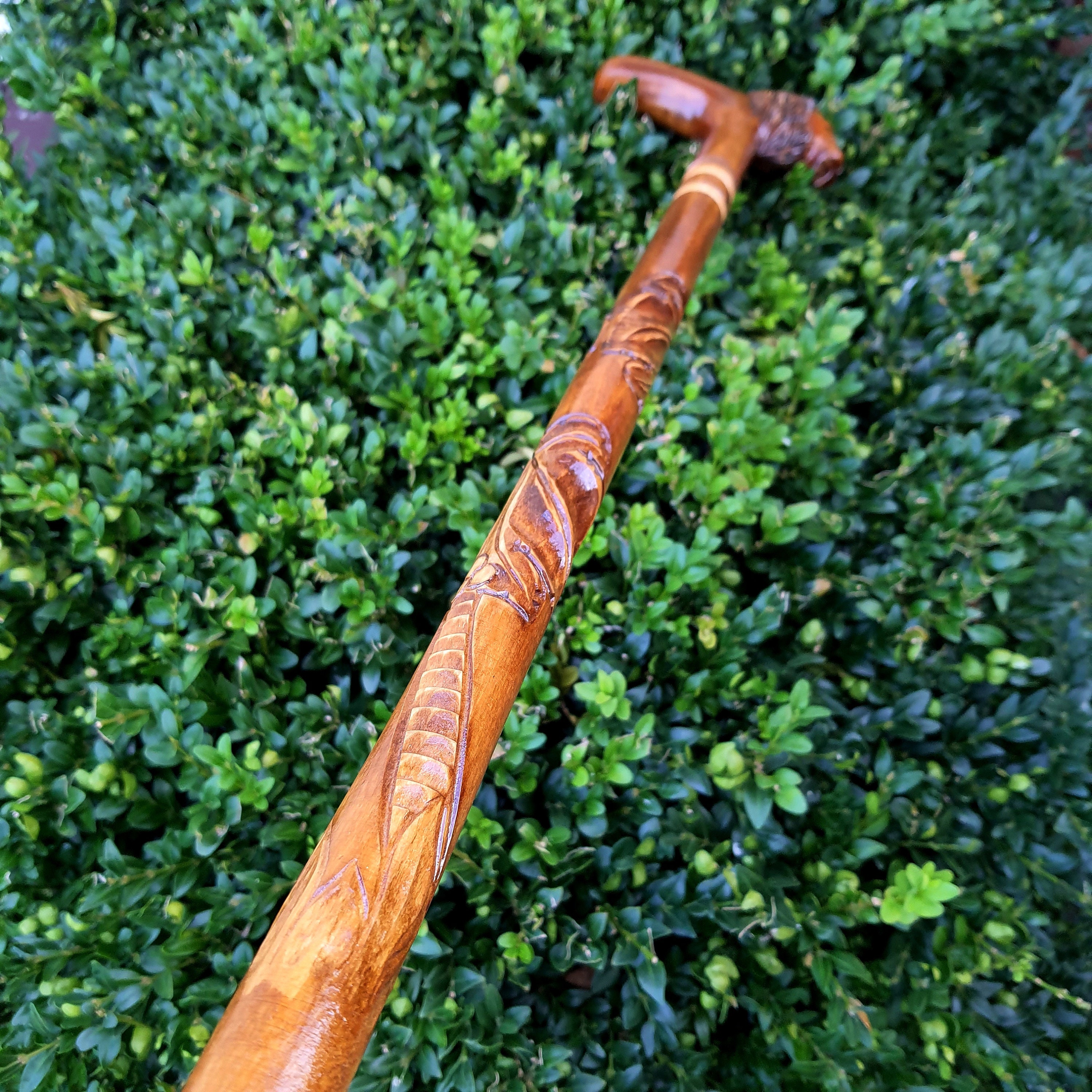 Cane Walking Stick Canes Sticks Reed Staff Wood Wooden | Etsy