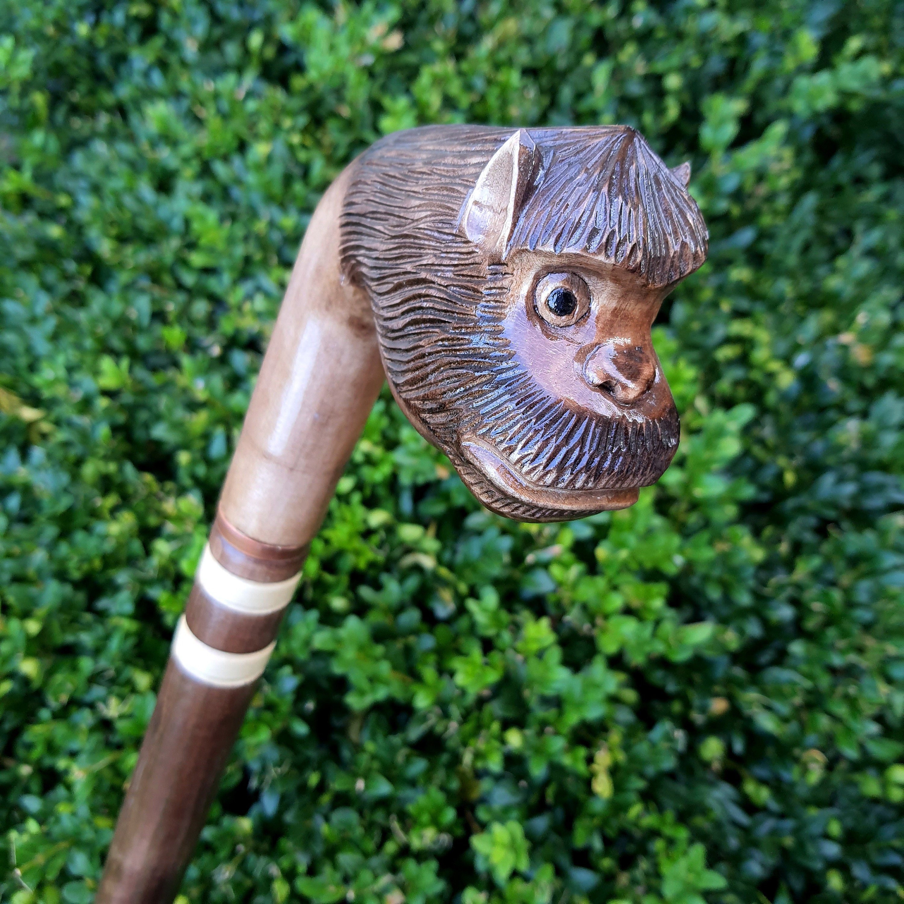Cane Walking Stick Canes Sticks Reed Staff Wood Wooden | Etsy