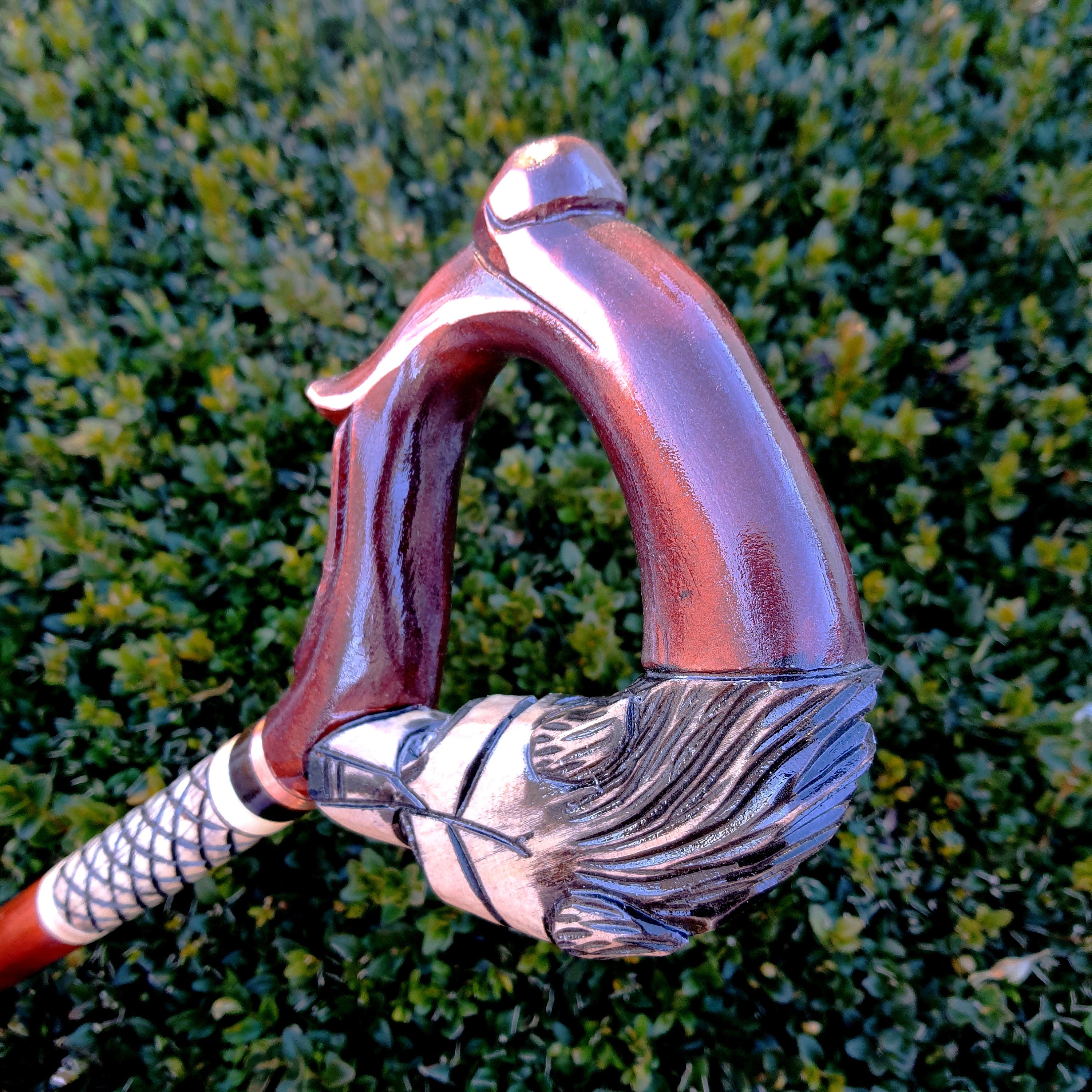 Cane Walking Stick Canes Sticks Reed Staff Wood Wooden | Etsy