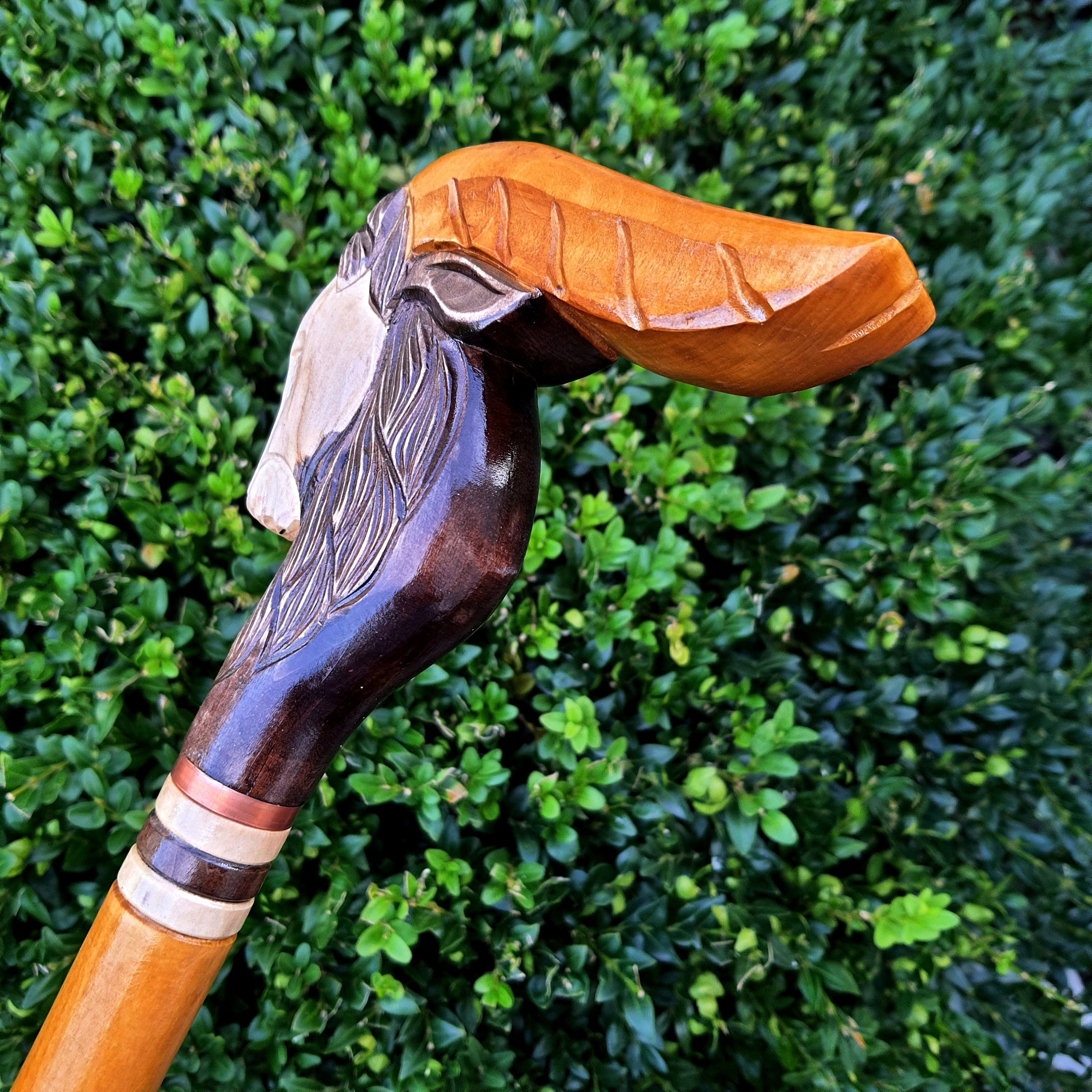 Cane Walking Stick Canes Sticks Reed Staff Wood Wooden | Etsy