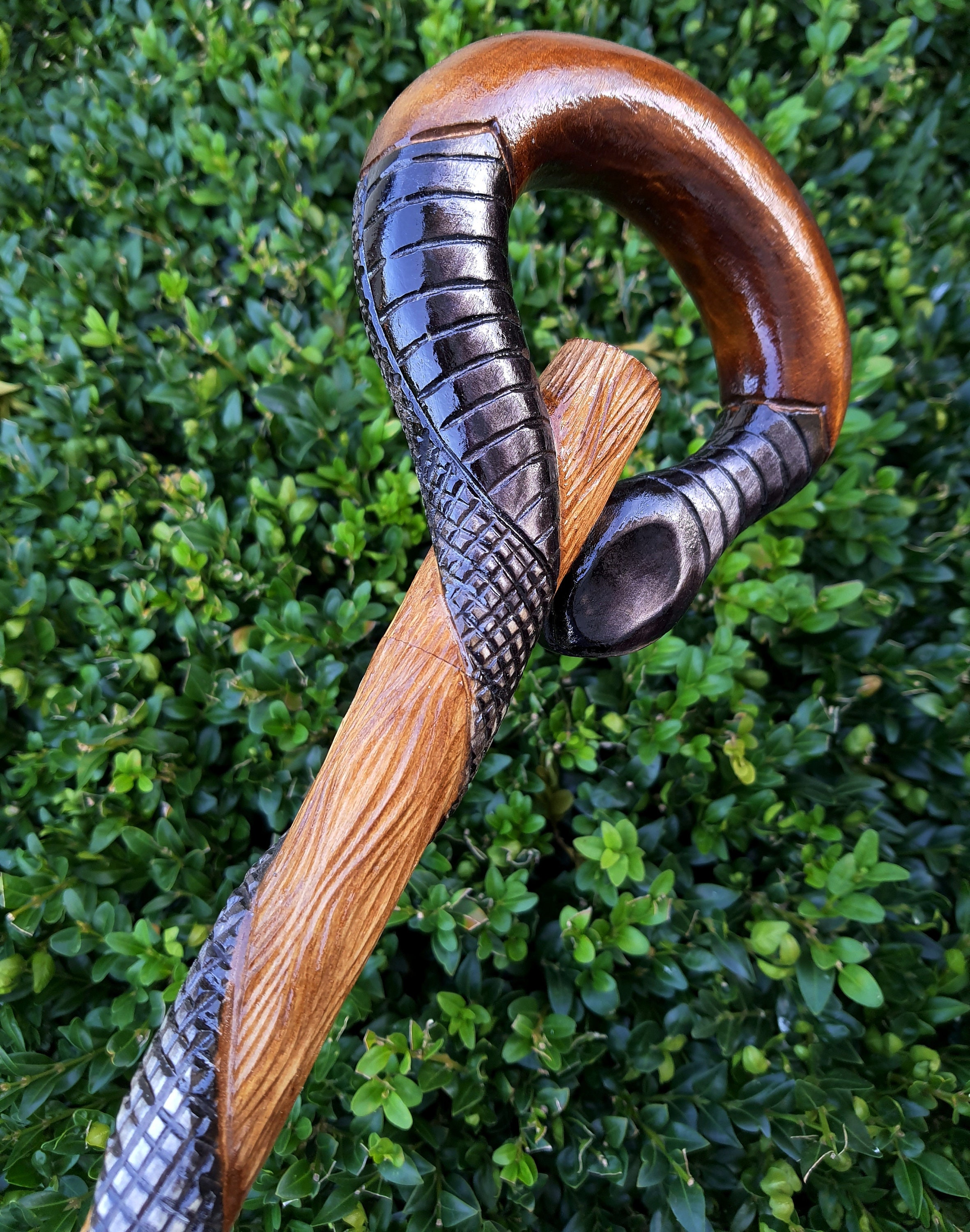 Cane Walking Stick Canes Sticks Reed Staff Wood Wooden | Etsy