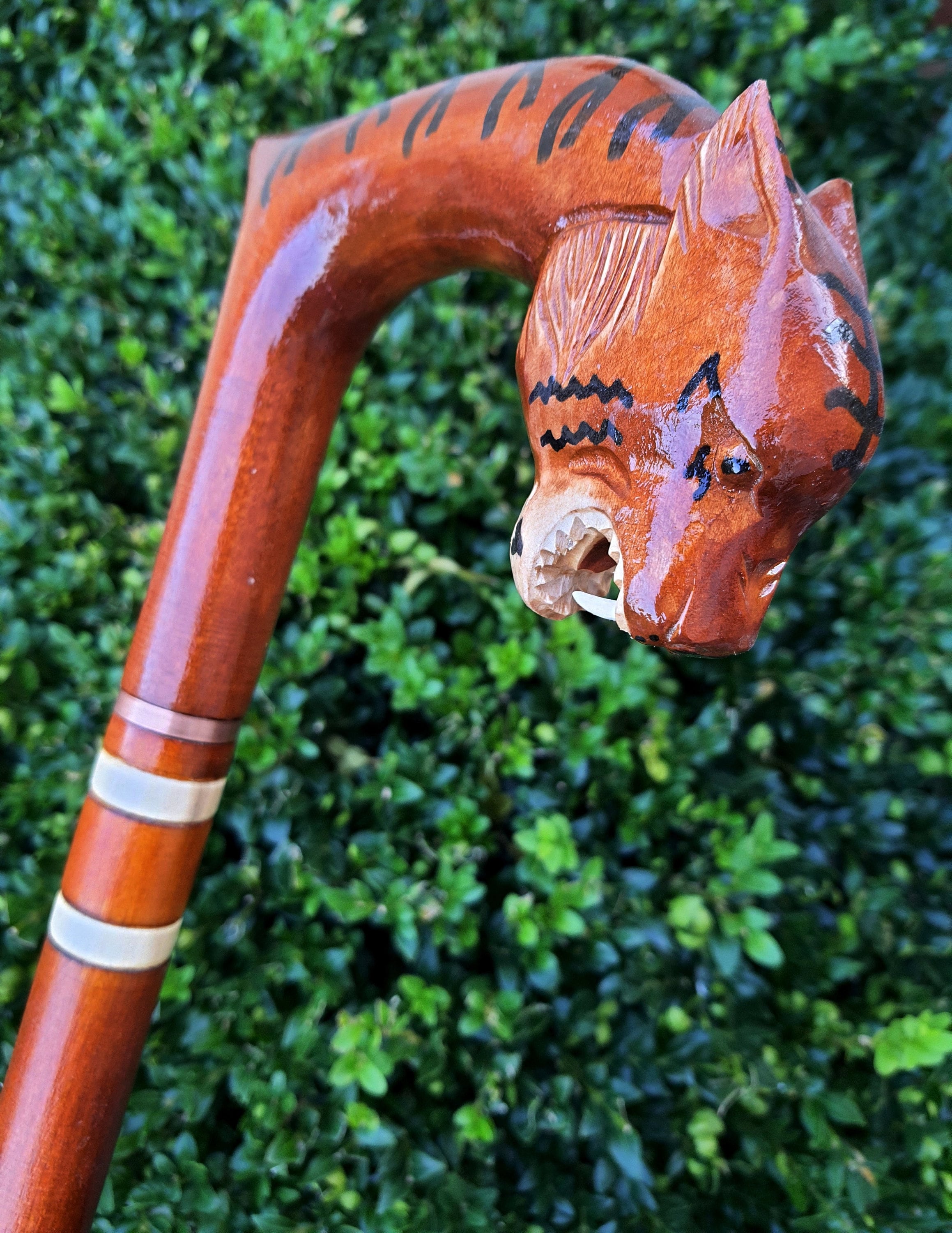 Cane Walking Stick Canes Sticks Reed Staff Wood Wooden | Etsy