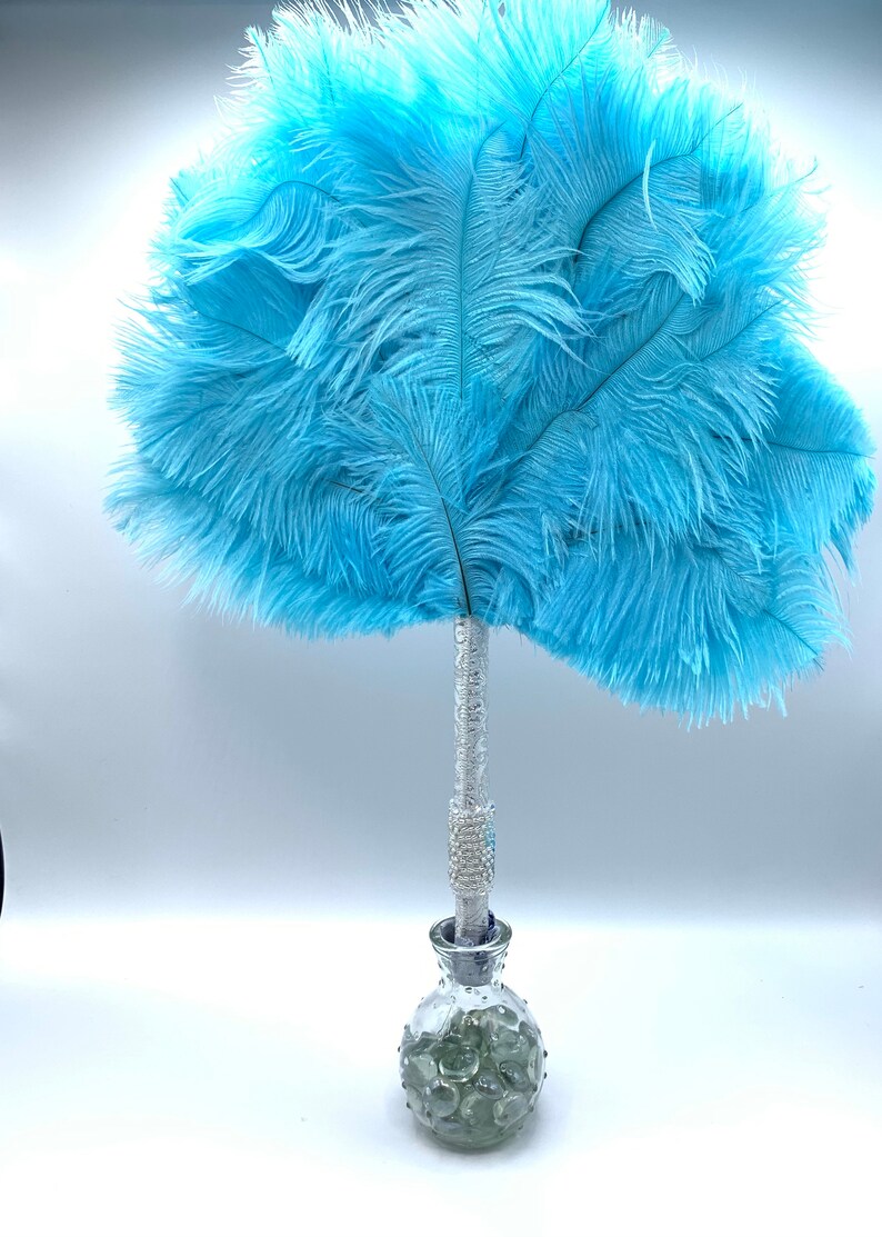 Blue Ostrich Feather Fan - Etsy