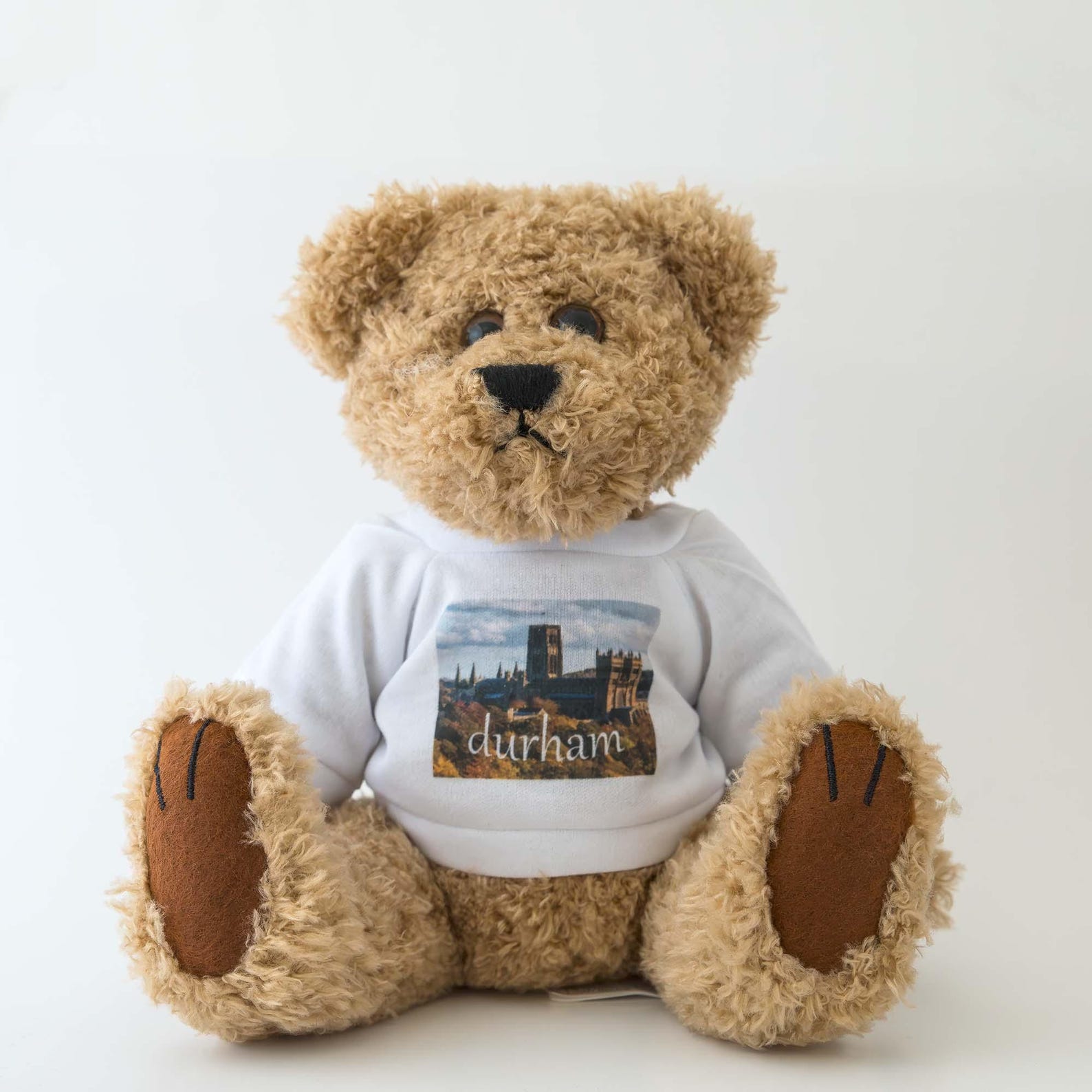 Durham Cathedral Teddy Bear, Autumn Photo T-shirt, 18cm Plush Toy - Etsy