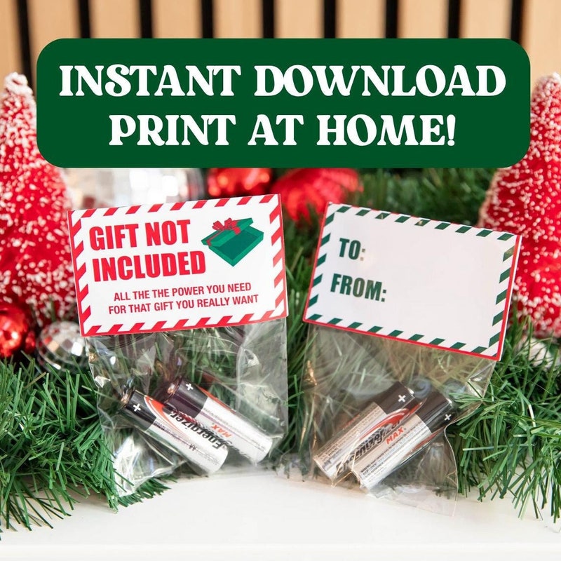 Printable Gift Not Included Tags - 60+ Gift Ideas for 2025