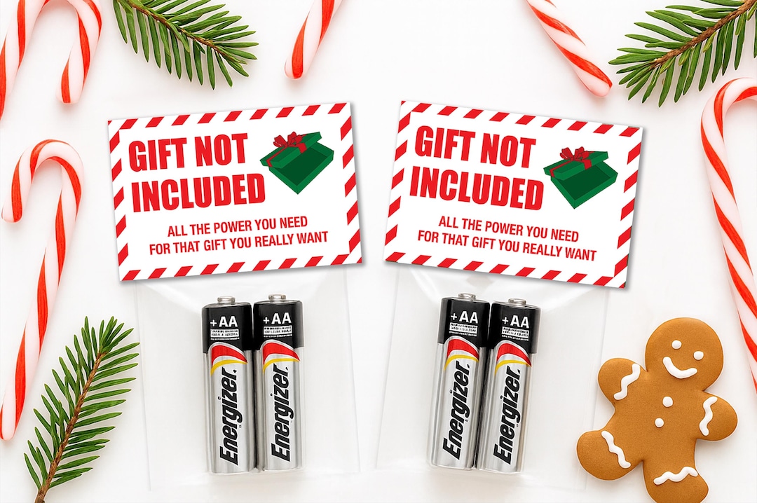 Gift Not Included Funny Stocking Stuffer Joke Gift Creative Batteries ...