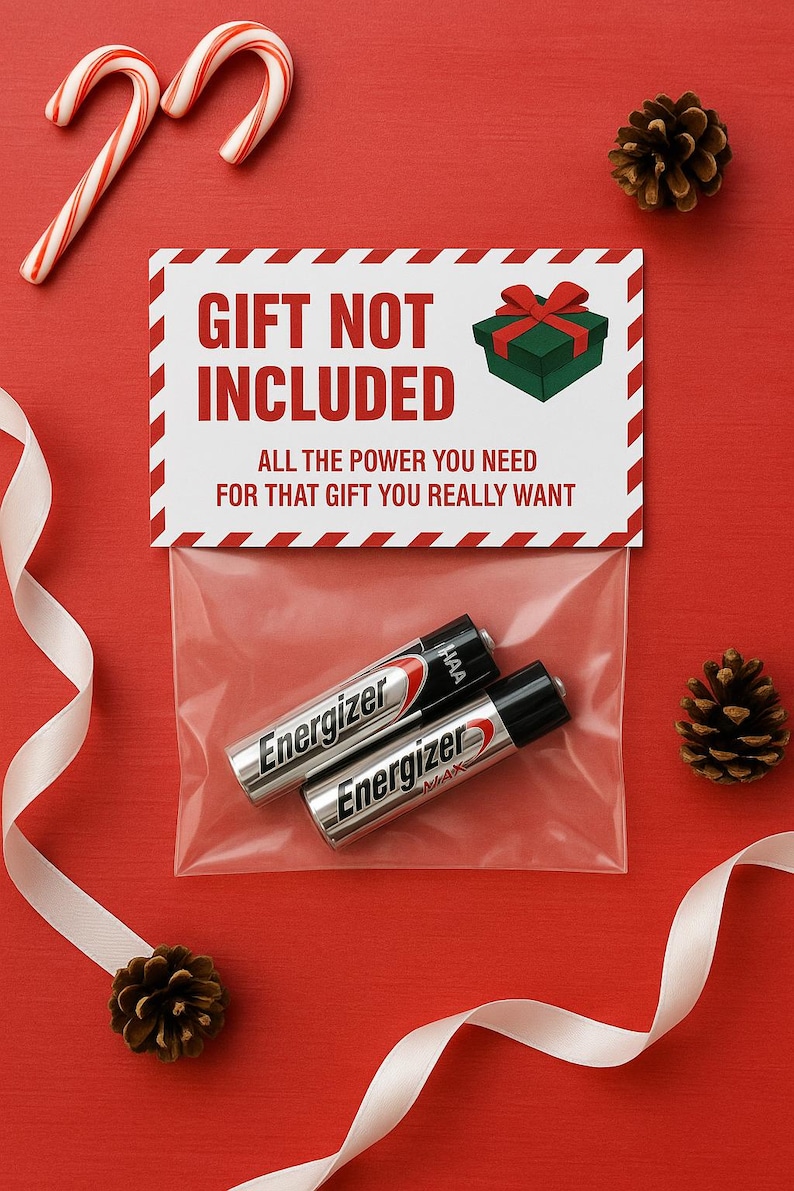 Gift Not Included Funny Stocking Stuffer Joke Gift Creative Batteries ...