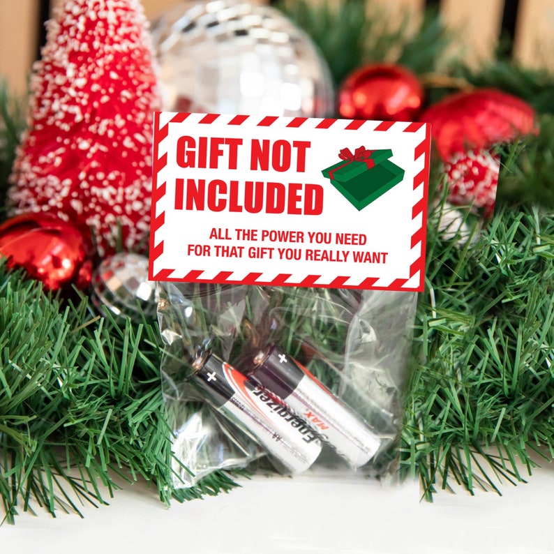 Gift Not Included Funny Stocking Stuffer Joke Gift Creative Batteries ...