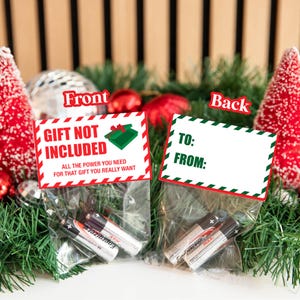 Gift Not Included Stocking Stuffer Funny Teenager Present Tween White ...