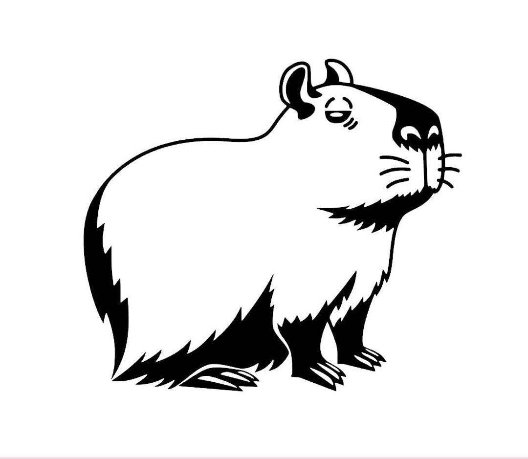 SVG - Capybara - Digital Download - Cutting File - Etsy