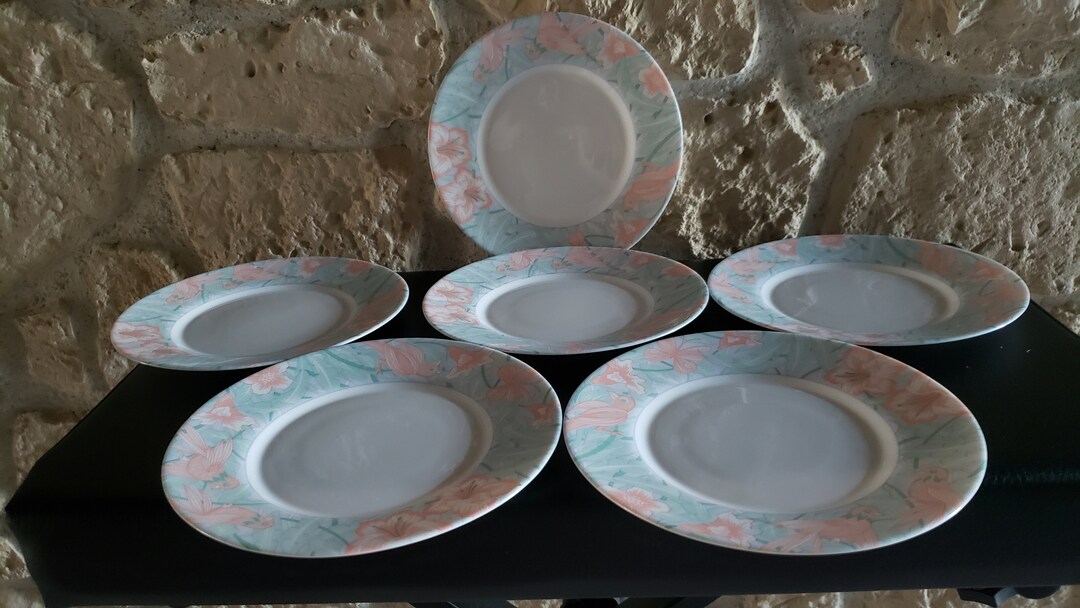 6 White Arcopal Plates With Pink and Blue Patterns - Etsy UK