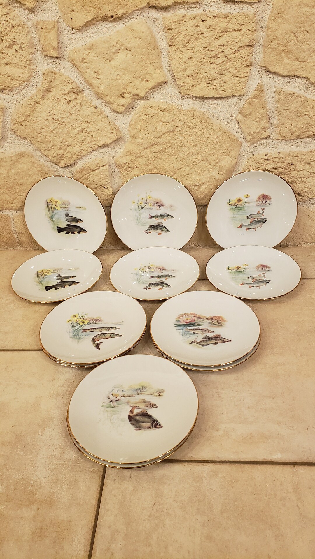 12 Fish Motif Plates in Limoges Porcelain - Etsy