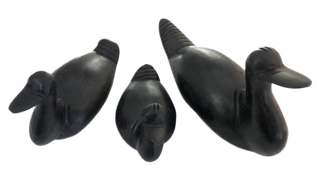 African Duck Family Duck Friends Choose the Your Family or Group Number ...