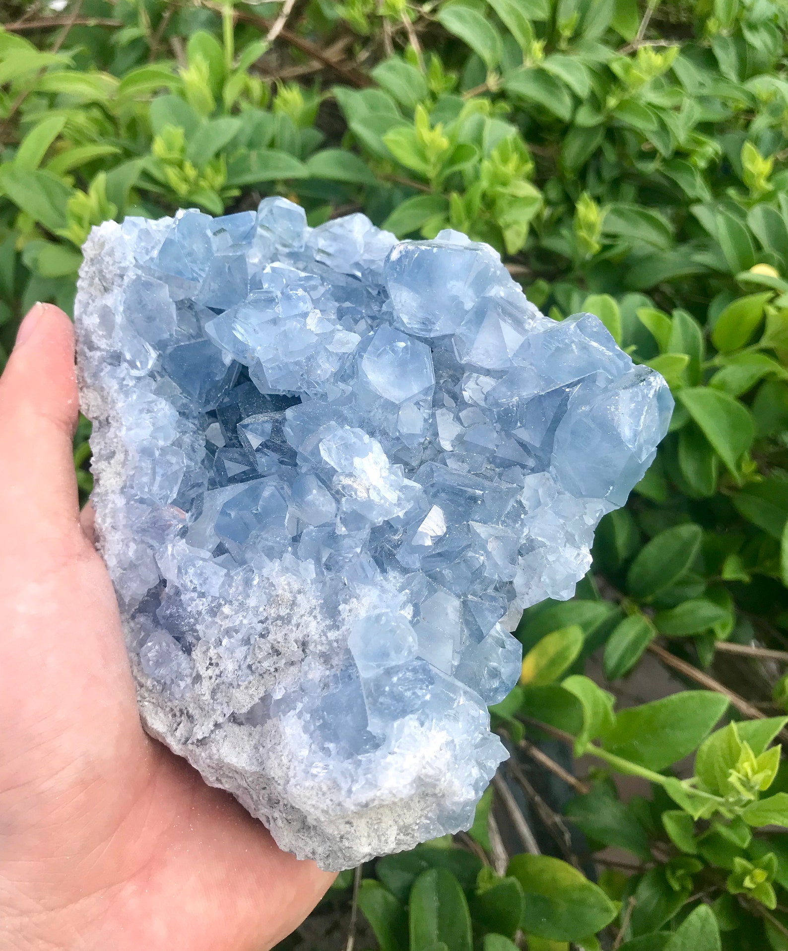 Raw Celestite Cluster - Madagascar Ocean Blue Celestite Geode - Healing ...