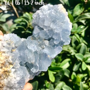 Raw Celestite Cluster - Madagascar Ocean Blue Celestite Geode - Healing ...