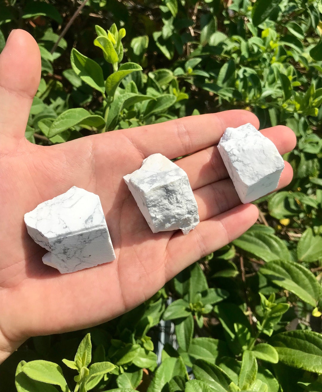 Raw Howlite Stone Rough White Howlite Crystal Minerals - Etsy