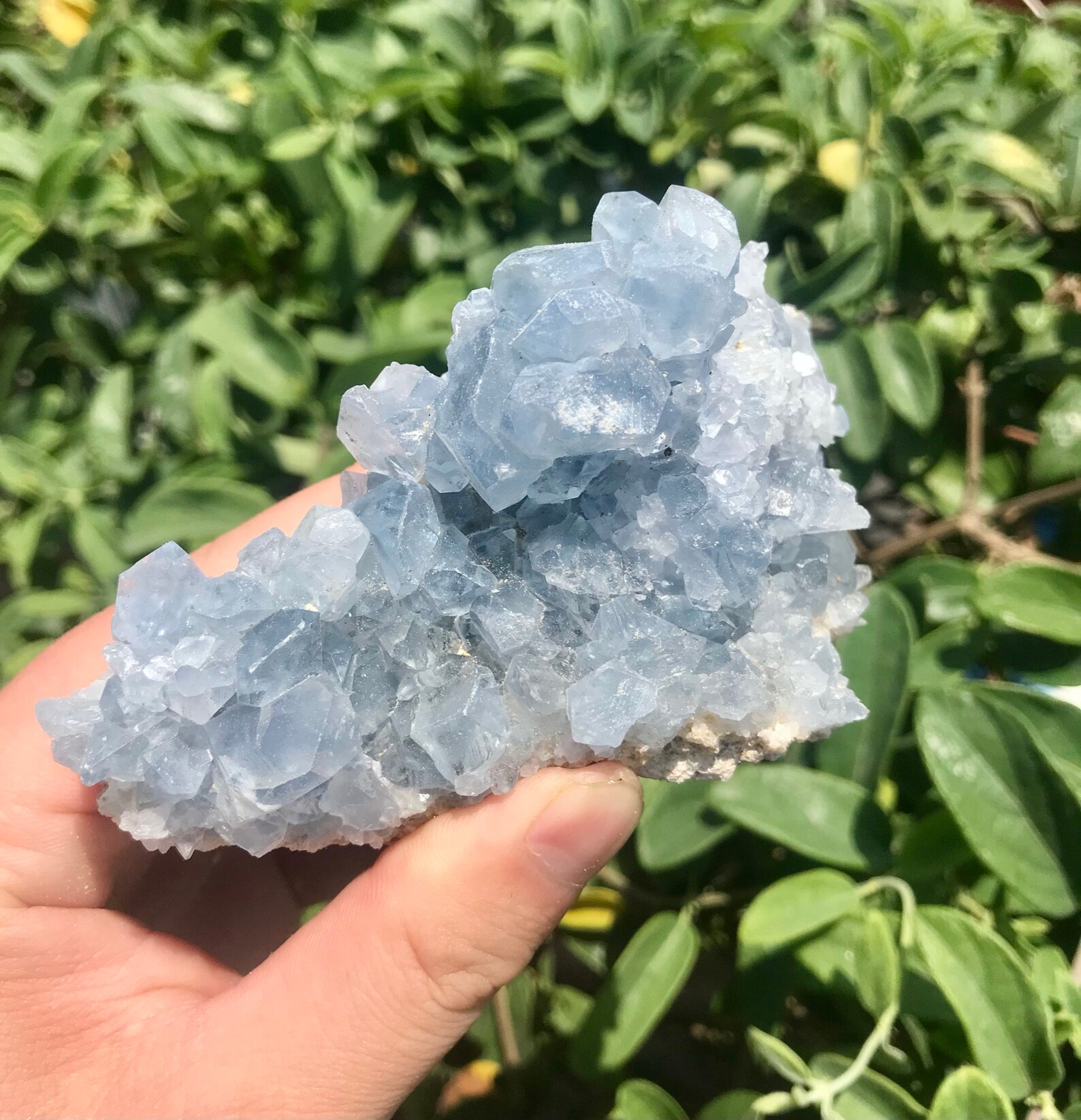 Raw Celestite Cluster - Madagascar Ocean Blue Celestite Geode - Healing ...