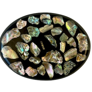 Vintage Abalone Paua Shell Trivet, Hawaii Souvenir, Shells in Resin ...