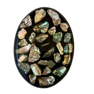Vintage Abalone Paua Shell Trivet, Hawaii Souvenir, Shells in Resin ...