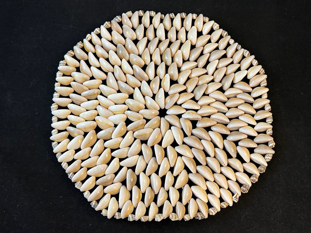 Vintage Seashell Trivet Cowrie Shell Woven Hot Pad Plant - Etsy