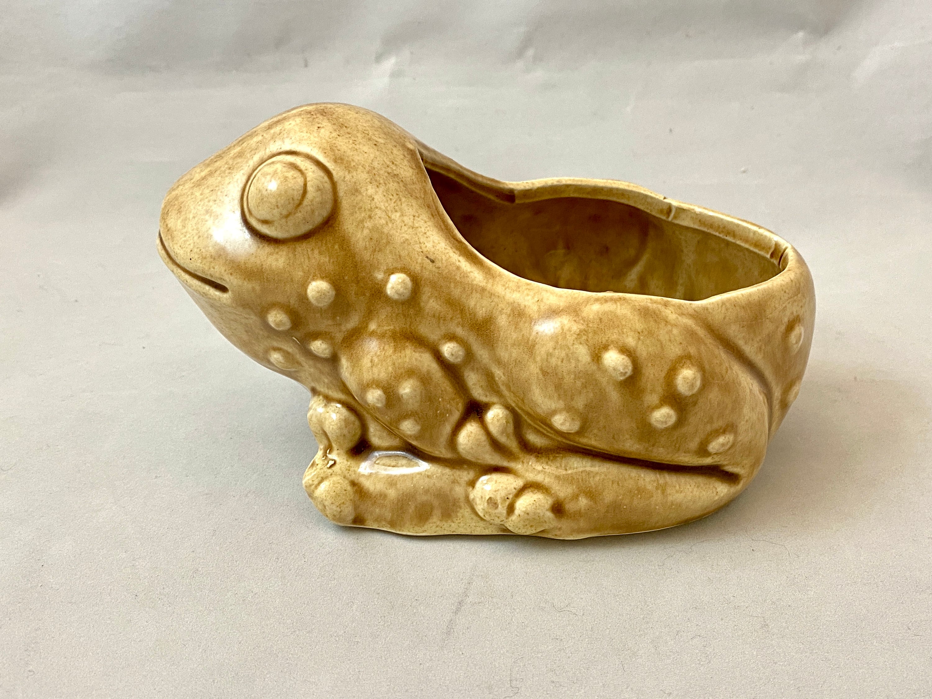 Vintage Frog Planter Ceramic Toad Plant Pot Cactus - Etsy