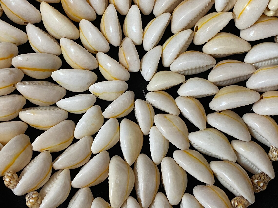 Vintage Seashell Trivet Cowrie Shell Woven Hot Pad Plant - Etsy