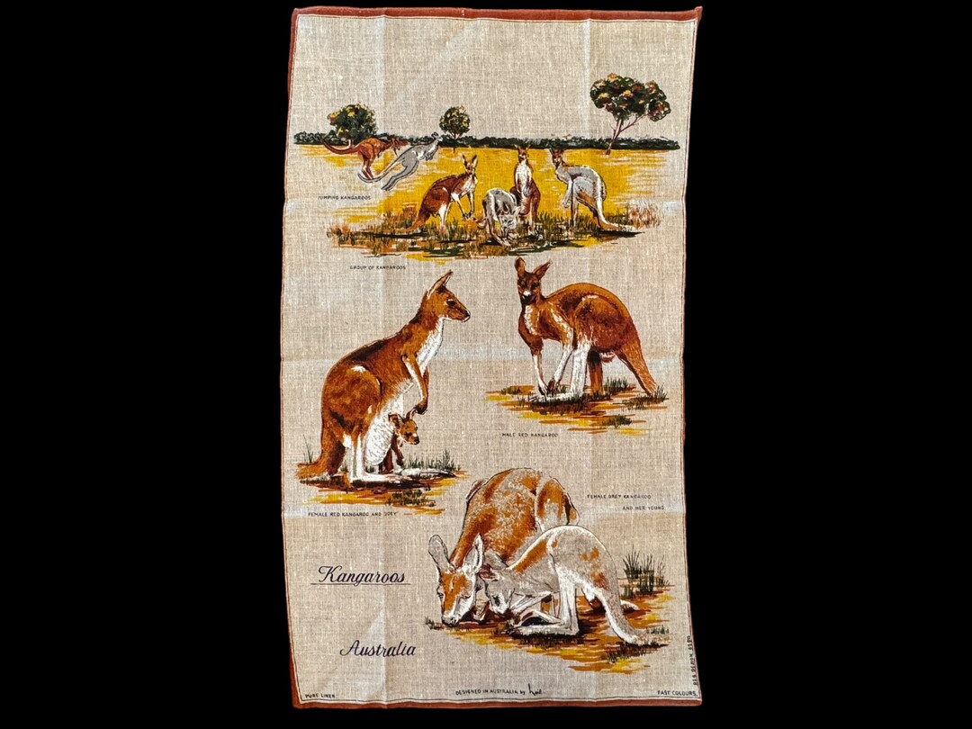 Vintage Kangaroo Tea Towel, Australia Souvenir, Australian Kangaroos ...