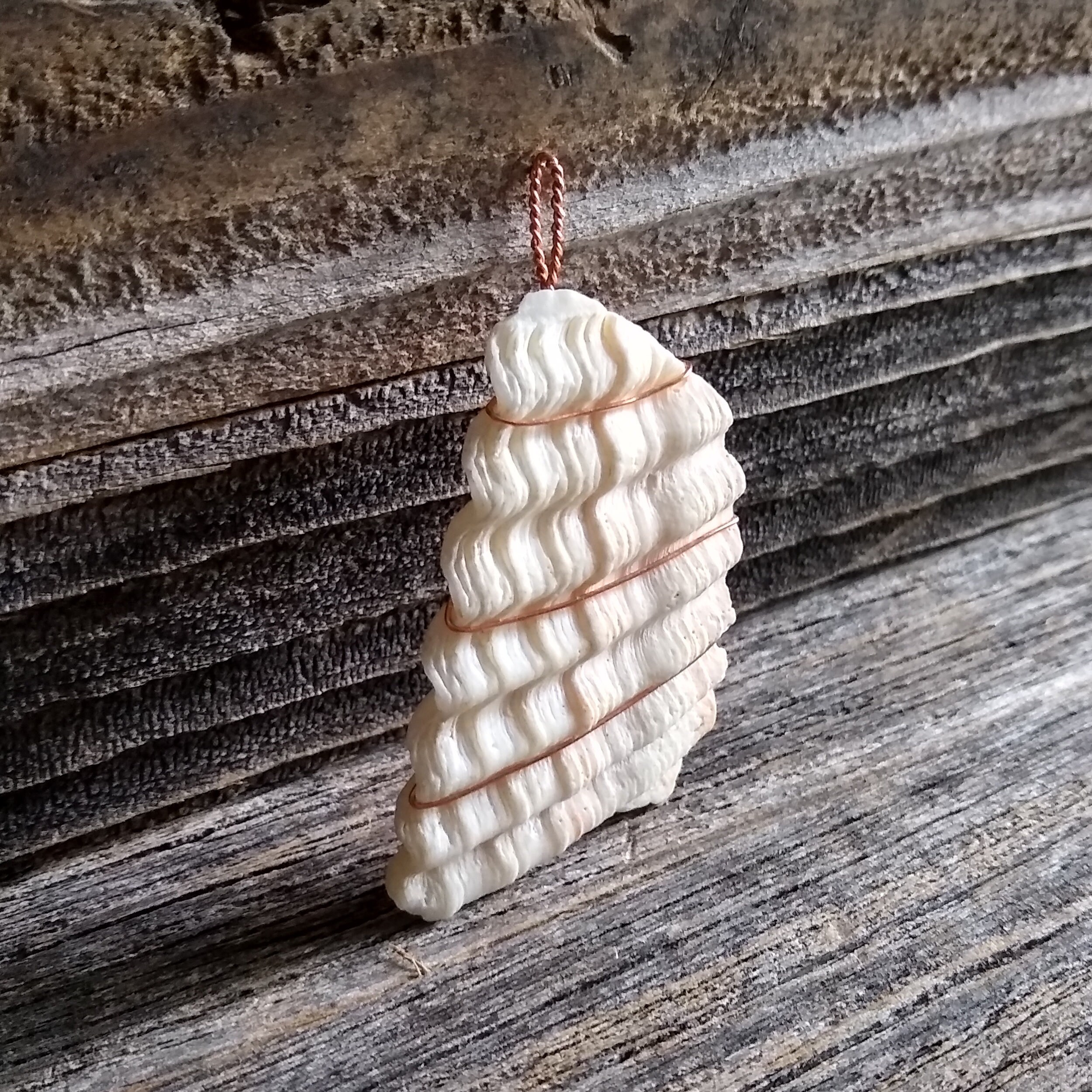 Natural Seashell collar / joyería de la lujuria / collar de surf ...