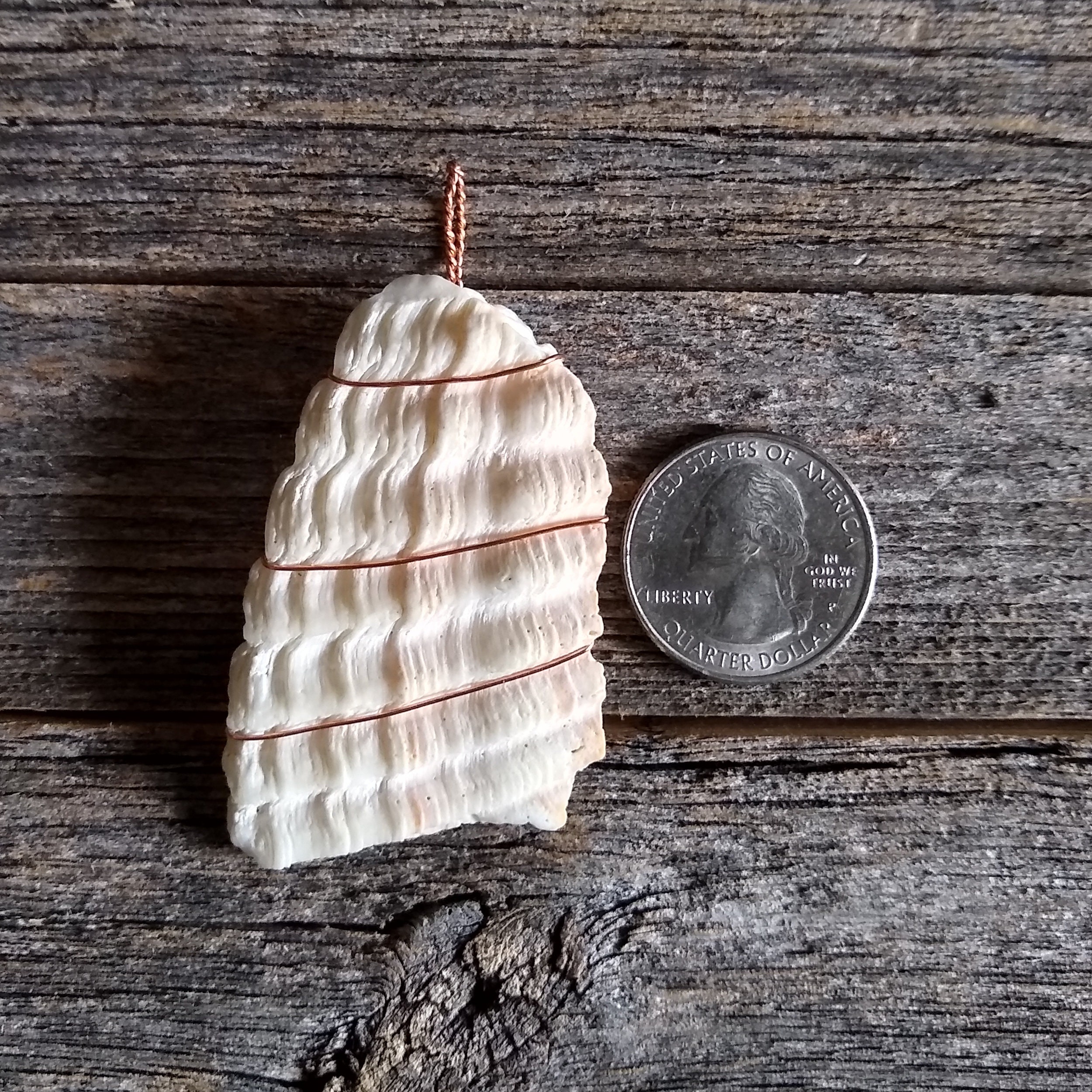 Natural Seashell collar / joyería de la lujuria / collar de surf ...