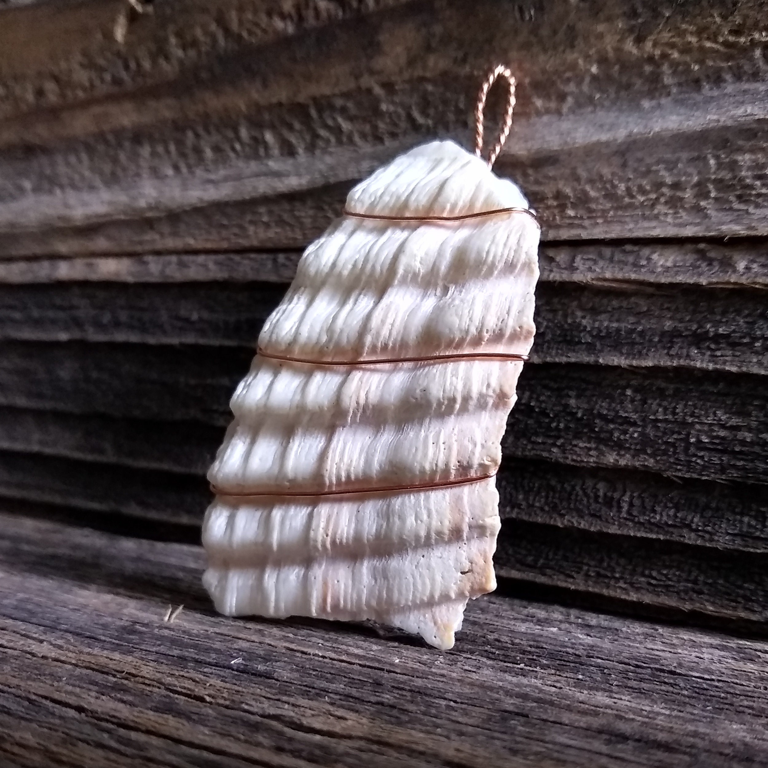 Natural Seashell collar / joyería de la lujuria / collar de surf ...