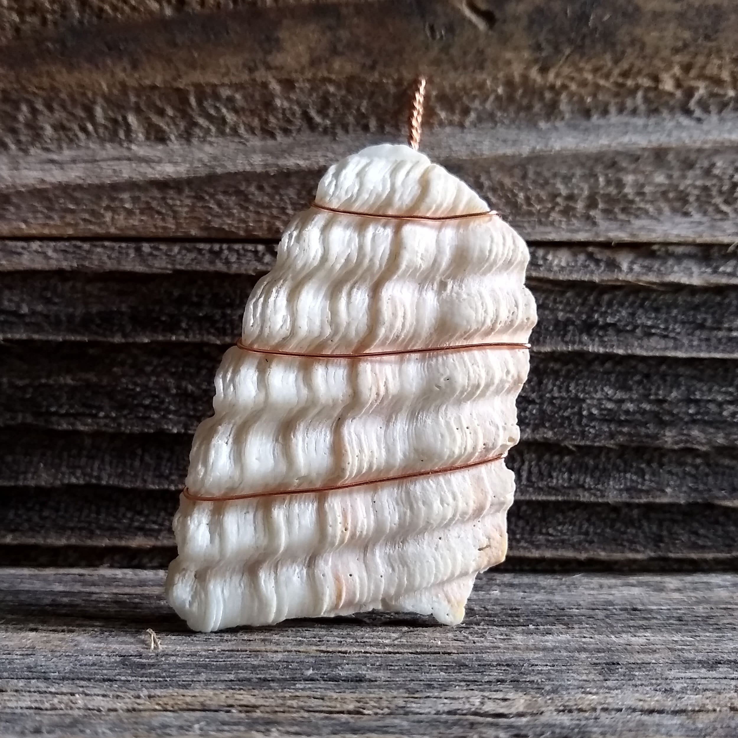 Natural Seashell collar / joyería de la lujuria / collar de surf ...